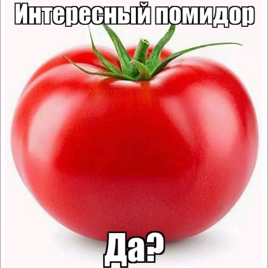 Иконка канала Кэнди