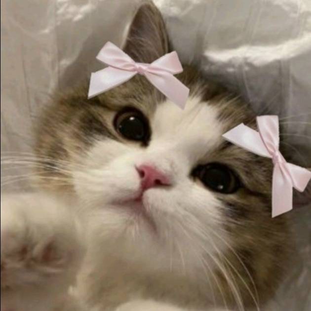 Иконка канала Котик_Лиза