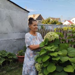 Иконка канала channel30849616