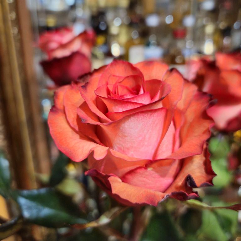 Иконка канала channel67975584