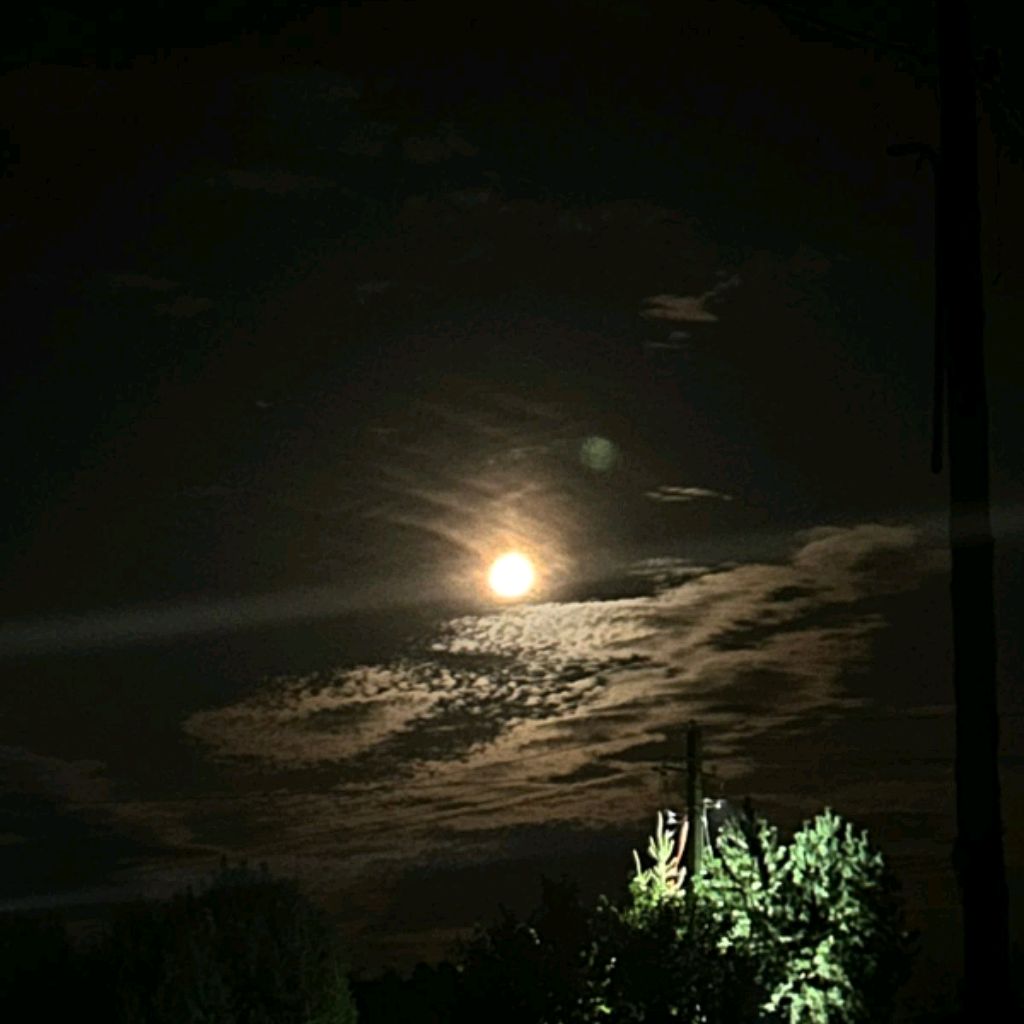 Иконка канала Полька🇰🇷