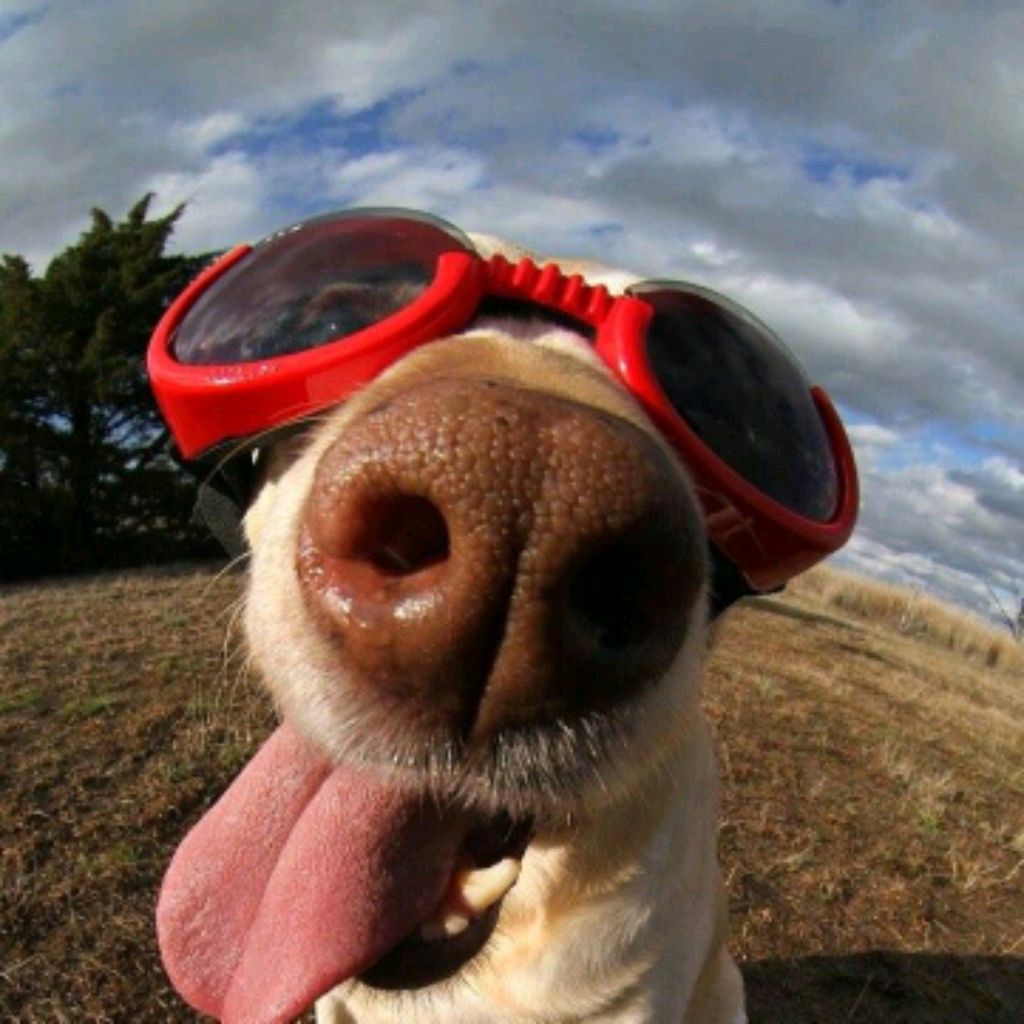 Иконка канала Сергей Андрианович