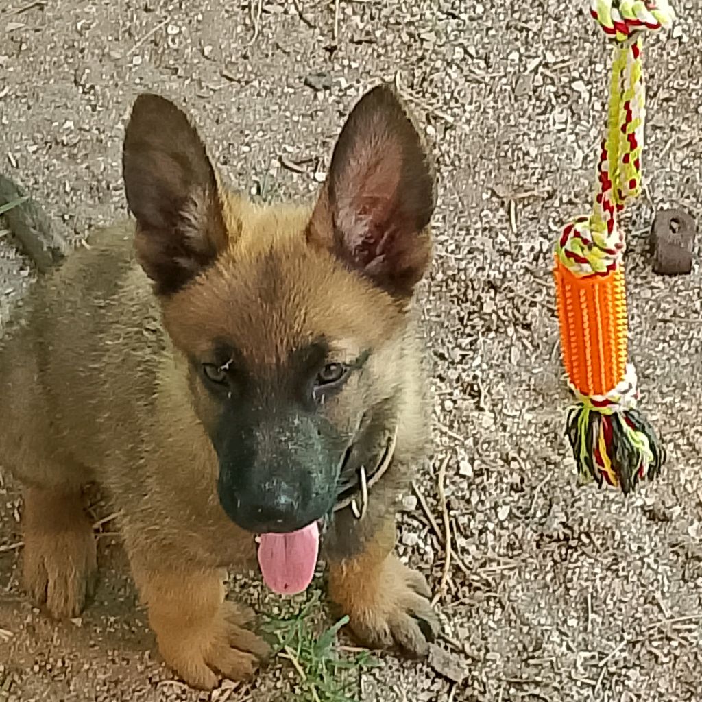 Иконка канала Timyr