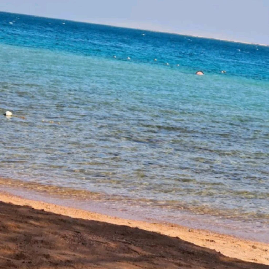 Иконка канала Вики