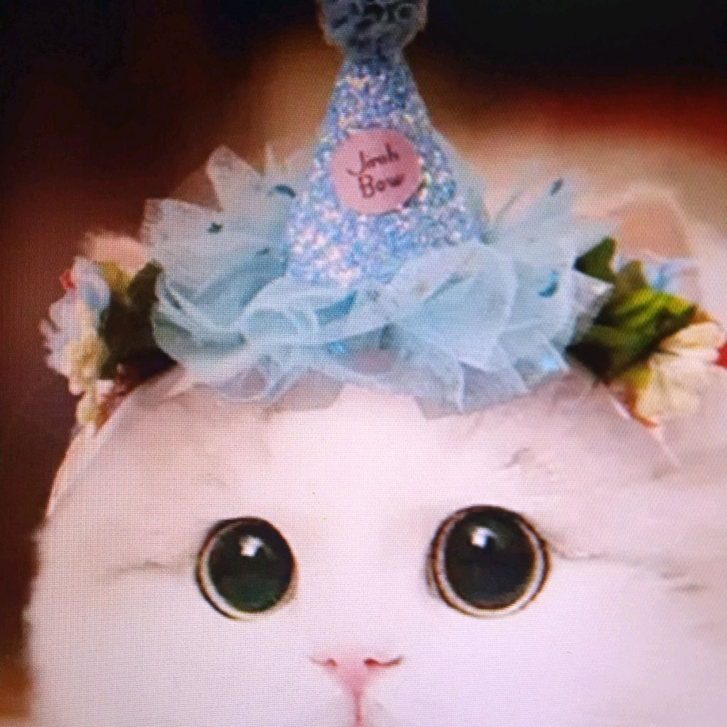 Иконка канала Илья Диденко