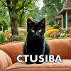 Иконка канала CTUSIBA ﹥ ﹥ Chi_catt ﹥ ﹥ games