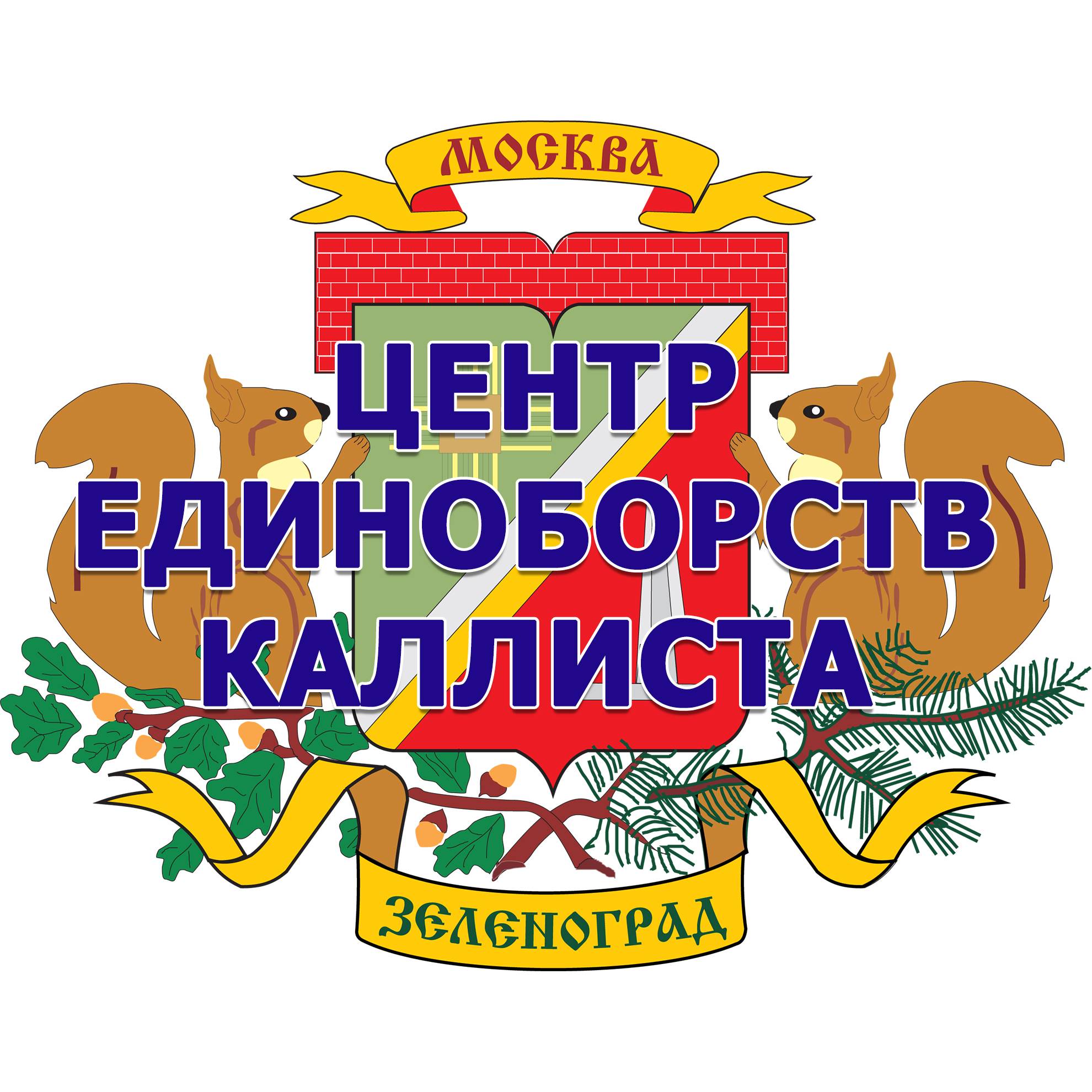 Иконка канала Зеленоград. Дзюдо. Каратэ. Бокс. Джиу-джитсу.ММА.