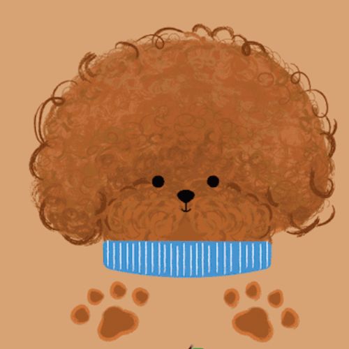 Иконка канала Mister Pudel (Мистер Пудель)