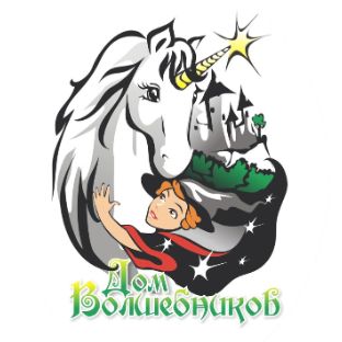 Иконка канала "Дом Волшебников" - сеть детских клубов и садов