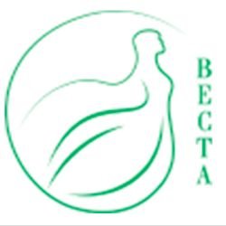 Иконка канала ВЕСТА