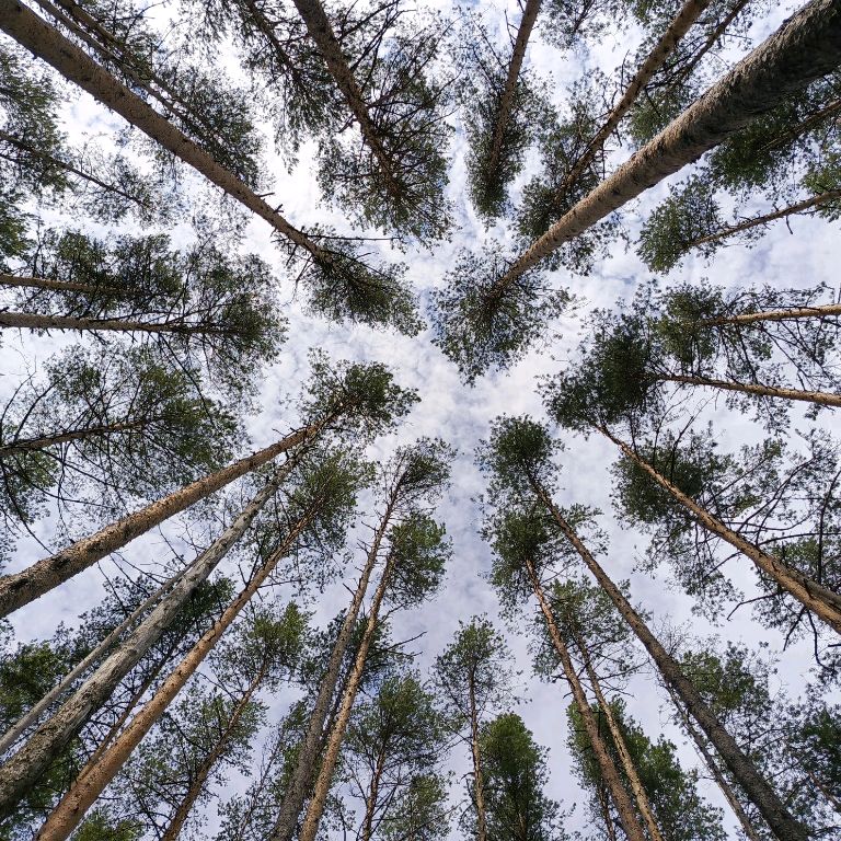 Иконка канала Parahromis