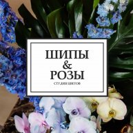 Иконка канала Шипы&Розы