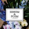 Иконка канала Шипы&Розы