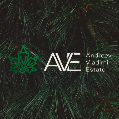 Иконка канала AVEstate