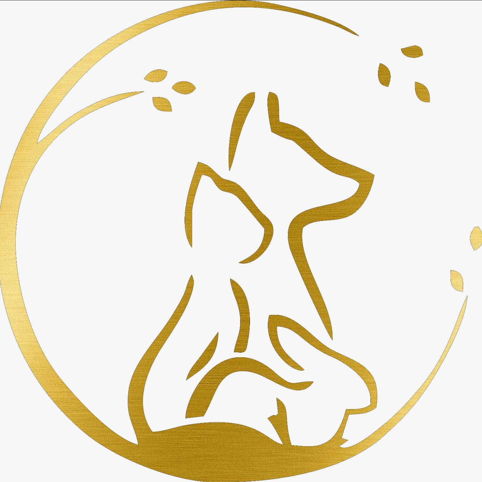 Иконка канала Зоогостиница для животных "Мохнатый рай"