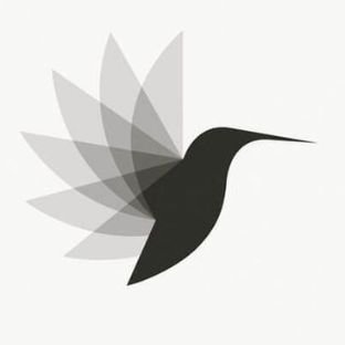 Иконка канала CG Turtle