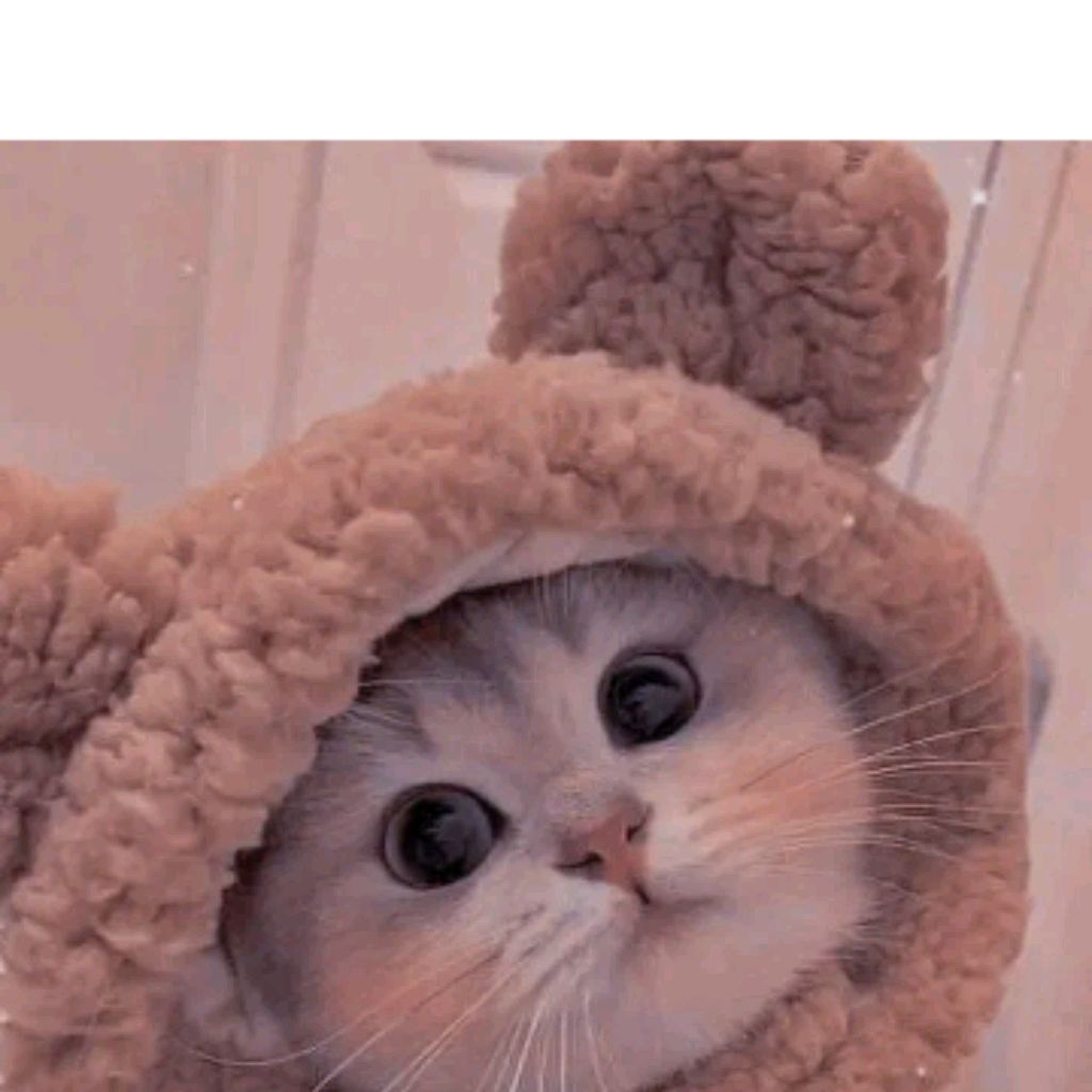 Иконка канала Pasha_Genshin-impakt