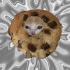 Иконка канала Cookie 🍪
