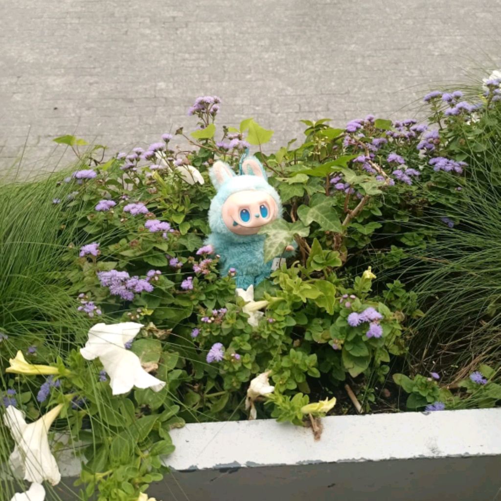 Иконка канала Alisa♥️live