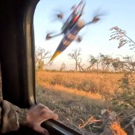 Иконка канала Dasporu