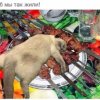 Иконка канала channel28236252