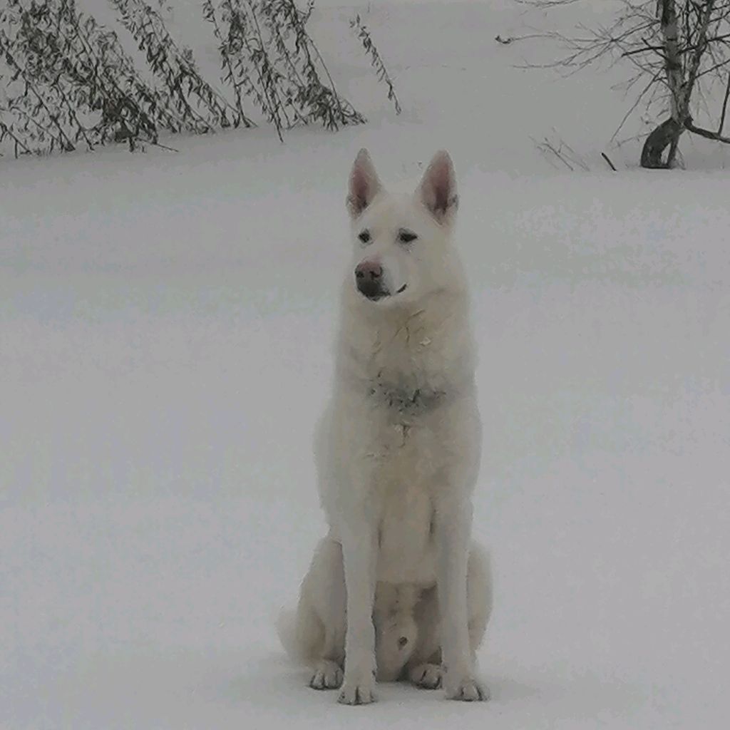 Иконка канала Юрий Охота с лайками