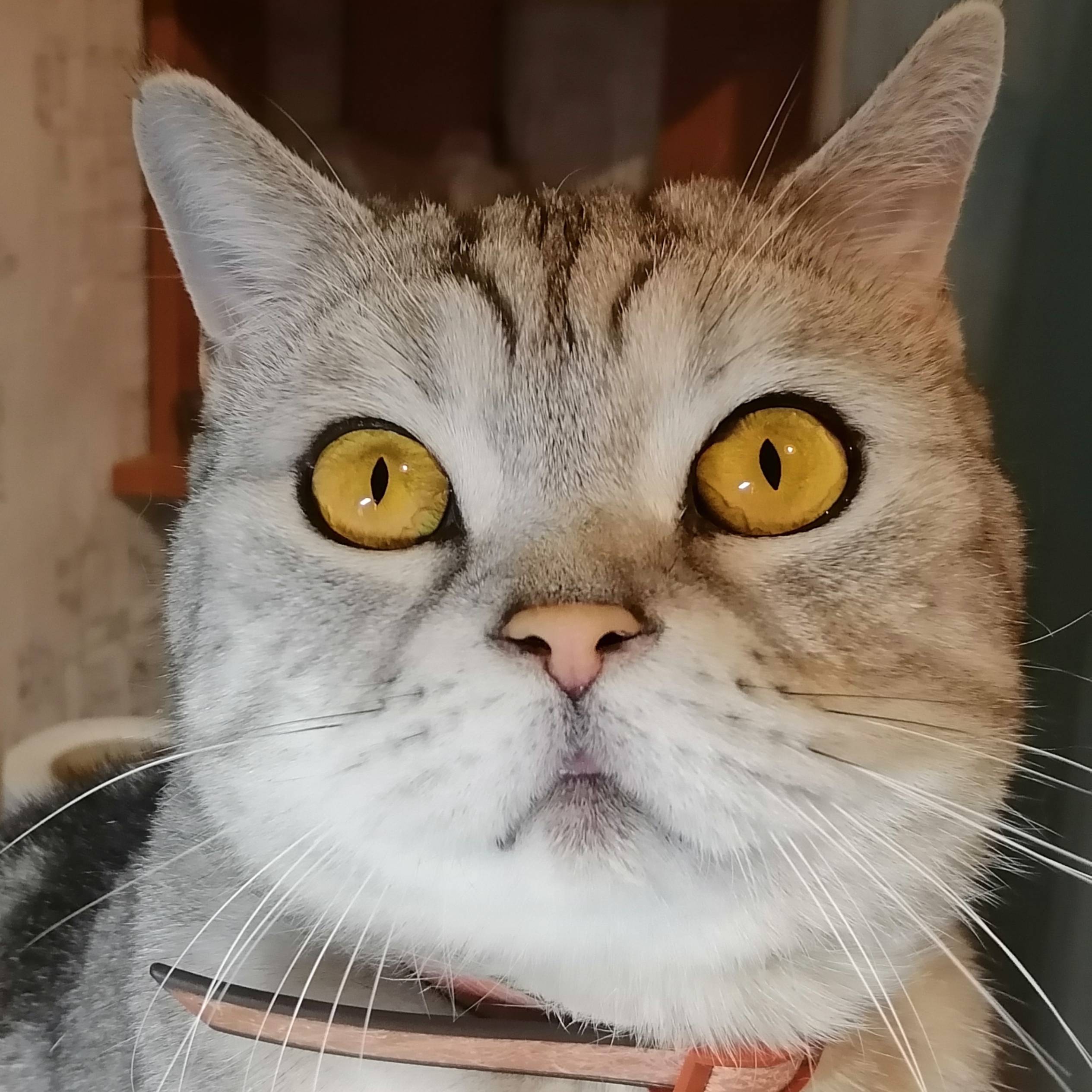 Иконка канала Ti_Gr55