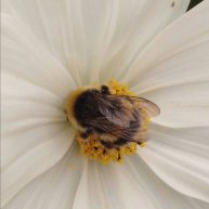 Иконка канала Майранова Карина 89640199229