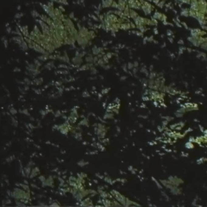 Иконка канала Steele