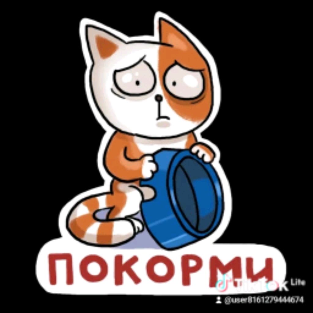 Иконка канала Funny Short Videos/смешные , короткие видео