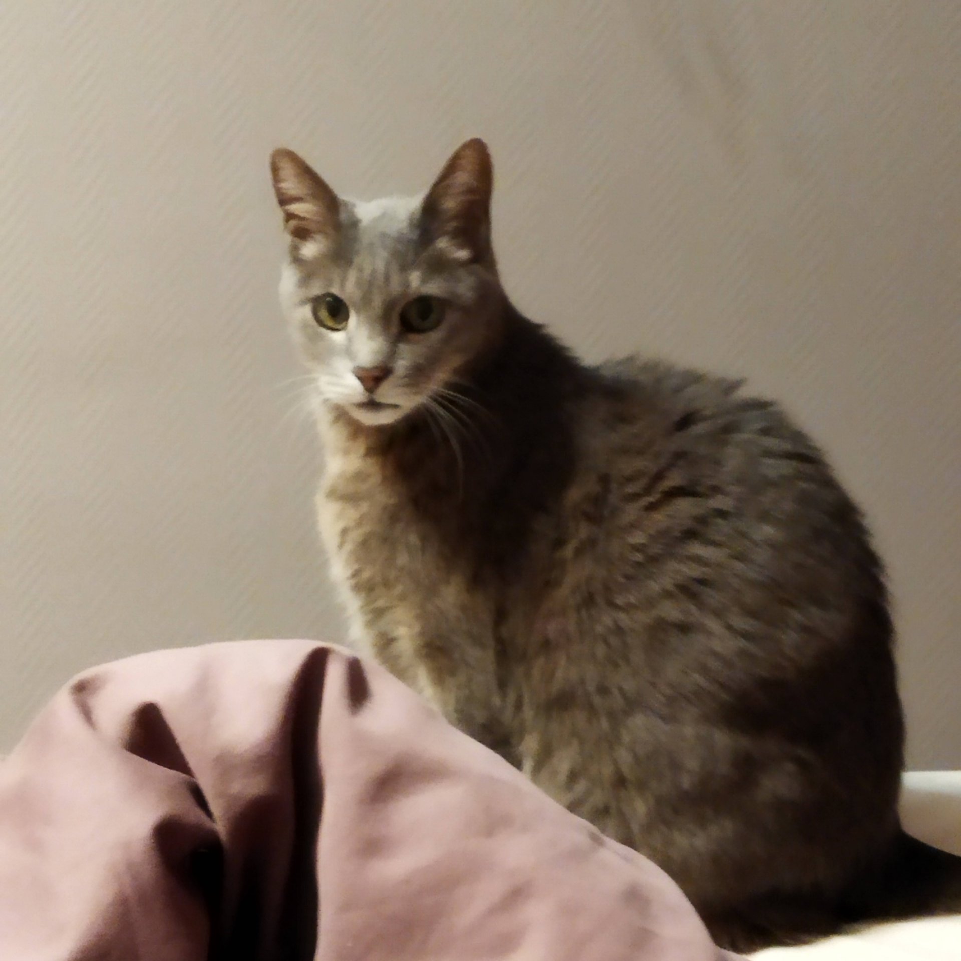 Иконка канала Nadin