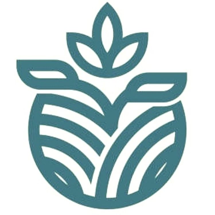 Иконка канала ДикаяЧаша (Wild Bowl)