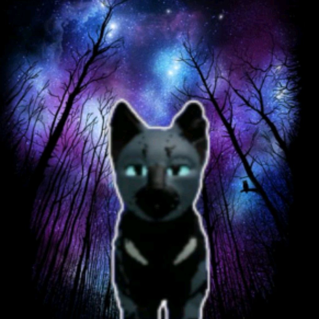 Иконка канала Астероиды Квальтера🖤