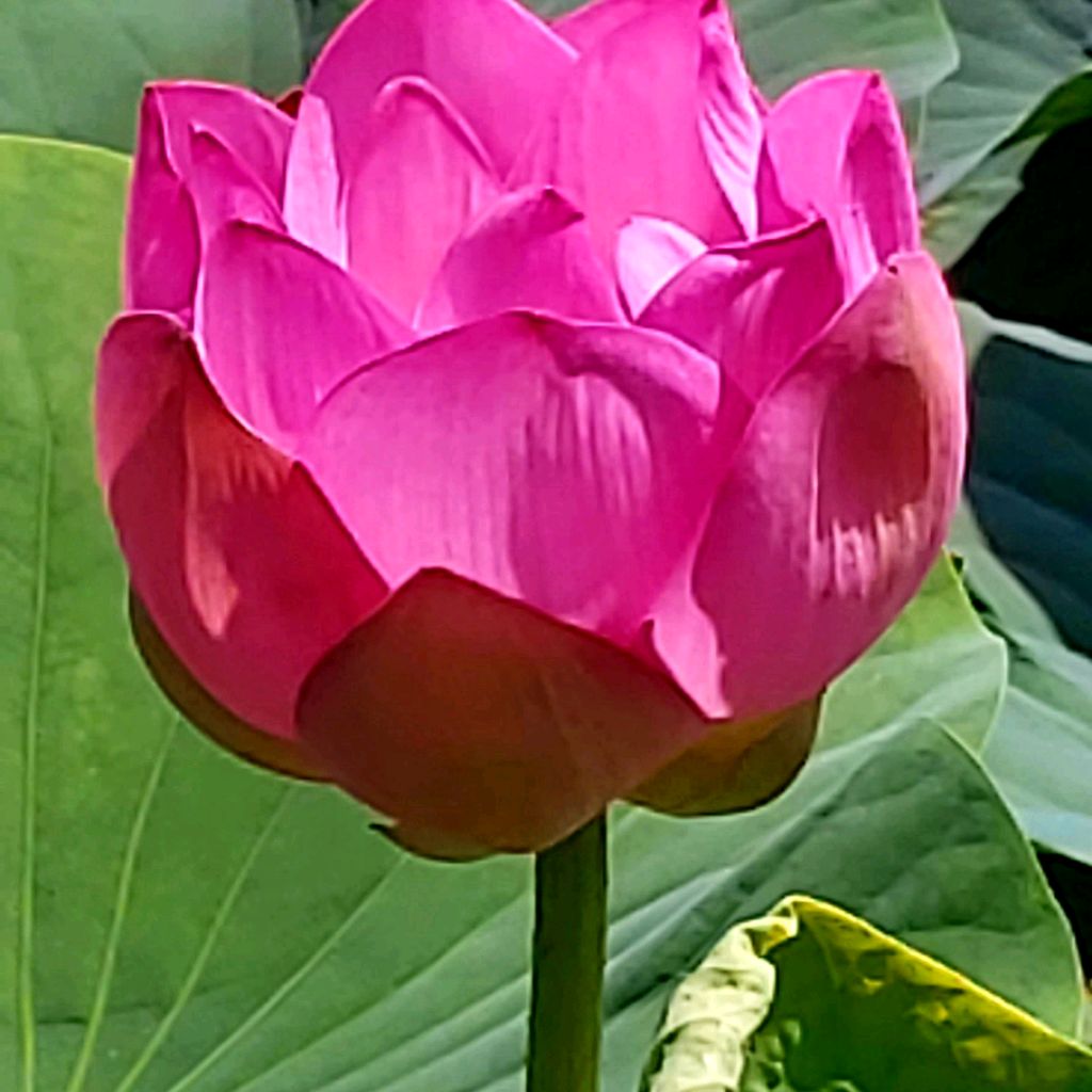 Иконка канала Роман Петров