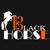 Иконка канала Black Horse