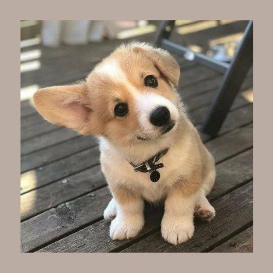 Иконка канала AvOkAdO