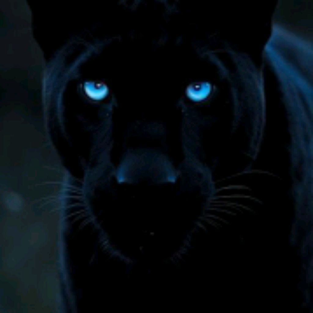 Иконка канала ⬛⬛Bkack Panther⬛⬛