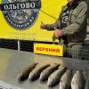 Иконка канала Рыбалка Ольгово