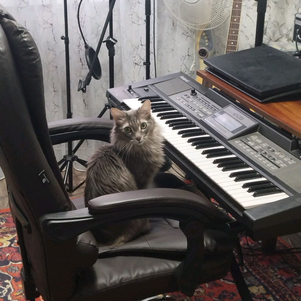 Иконка канала Валиба