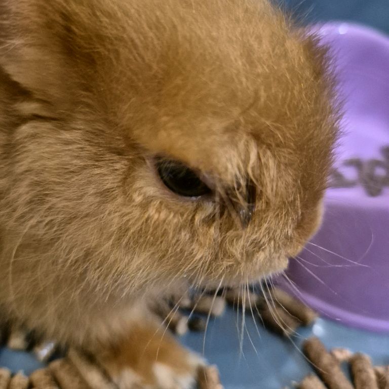 Иконка канала Сердечки 💞💗💖💕💓♥️