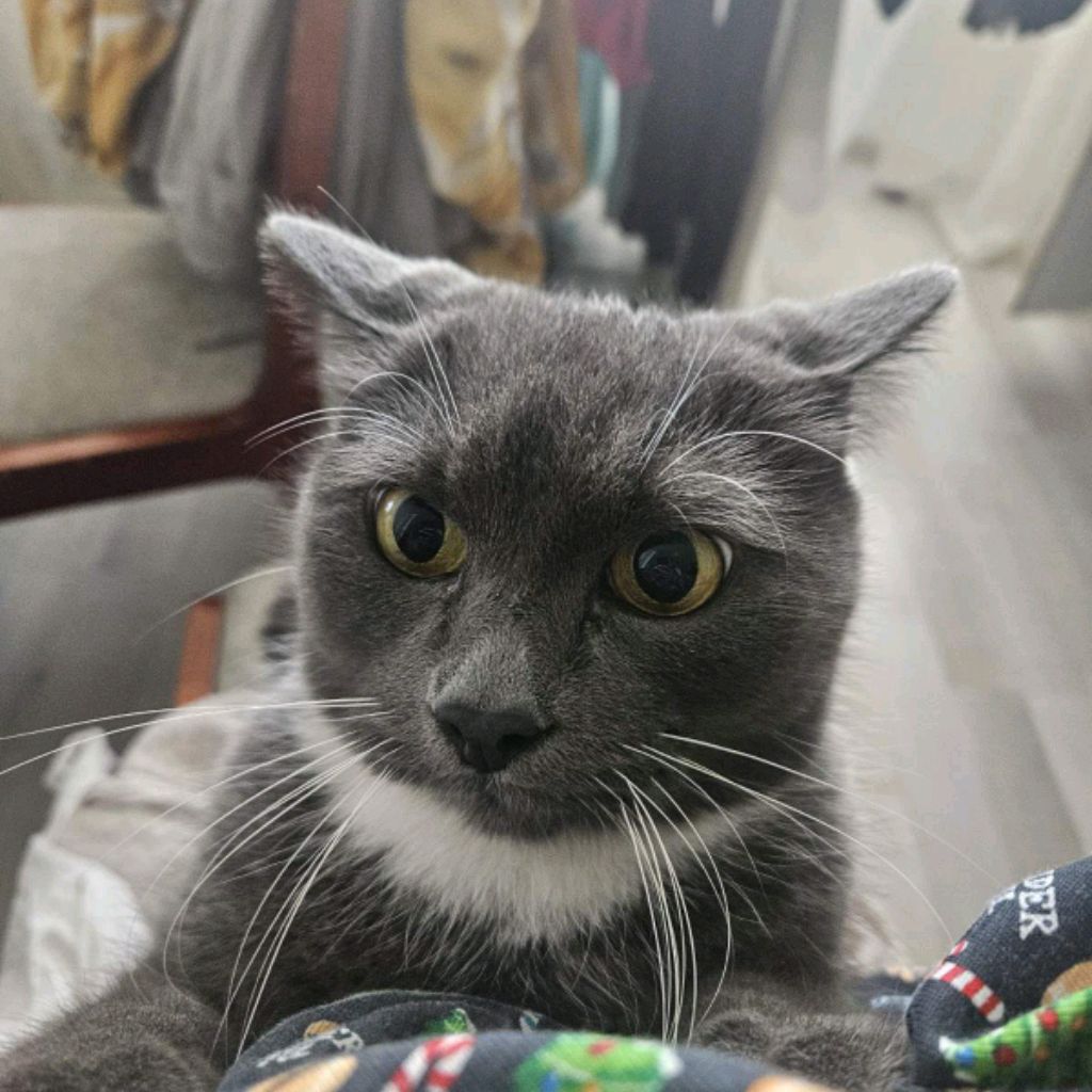 Иконка канала Vadimchik