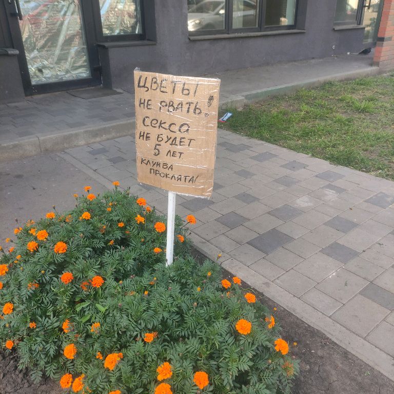 Иконка канала Мдз Мдр Воронеж