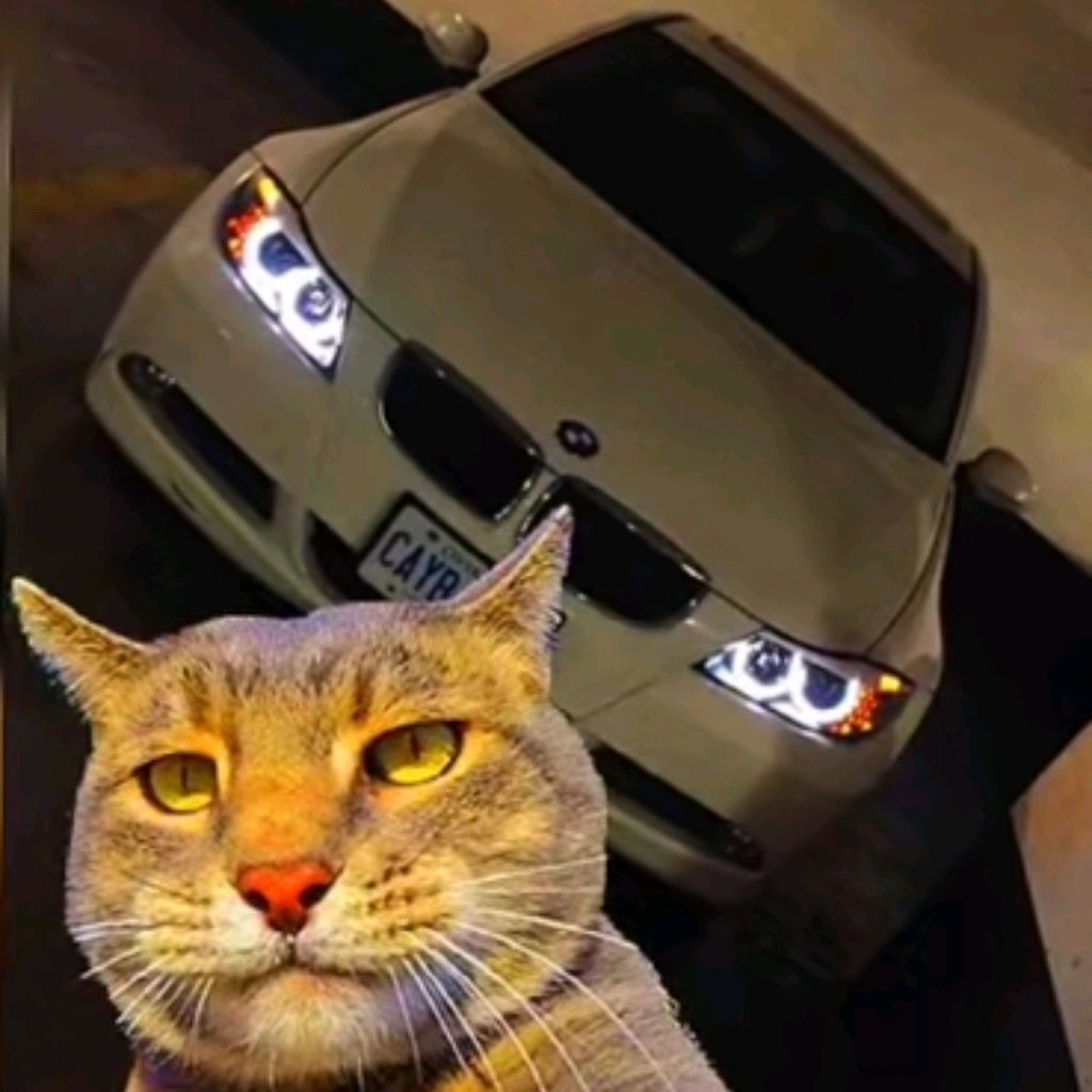 Иконка канала Русский кот