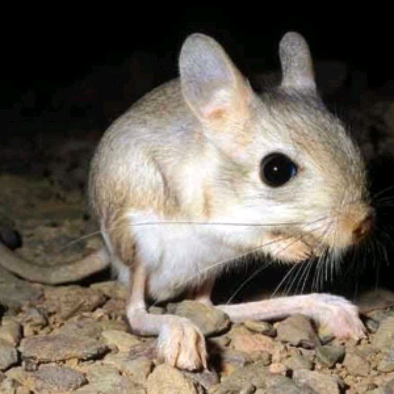 Иконка канала Zip