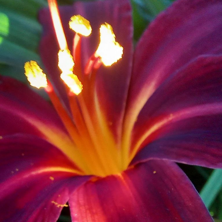 Иконка канала Метафоры Подсознания