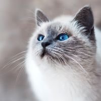 Иконка канала channel42466513