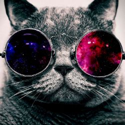 Иконка канала nakee