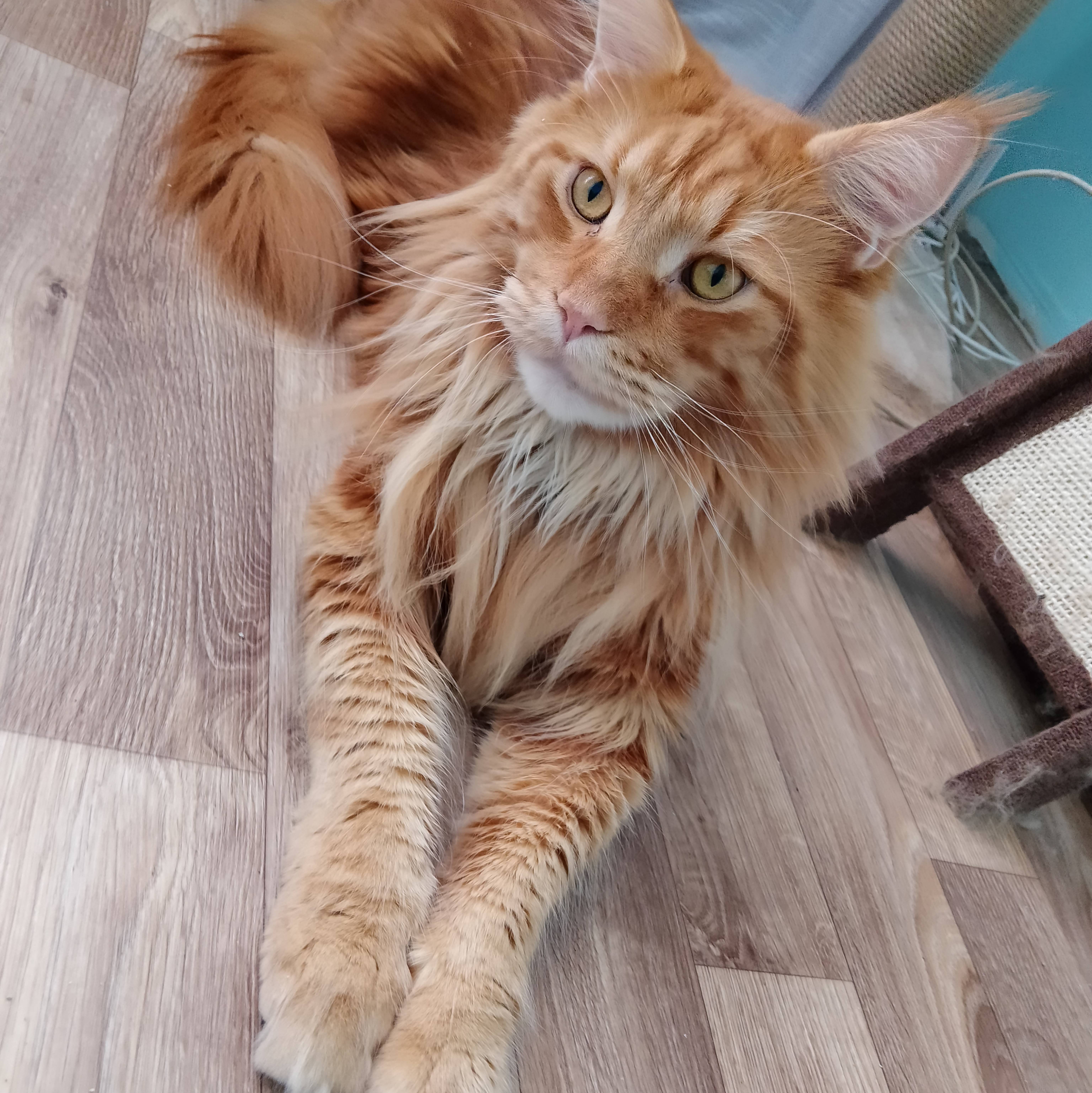 Иконка канала Наталья Николаевна Майнкрафт