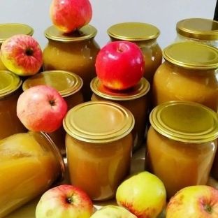 Иконка канала ДАЧА - САД - ОГОРОД