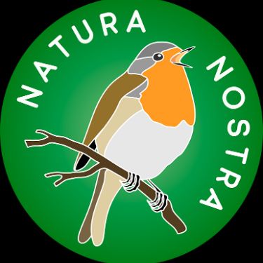 Иконка канала Онлайн-кружки Natura nostra